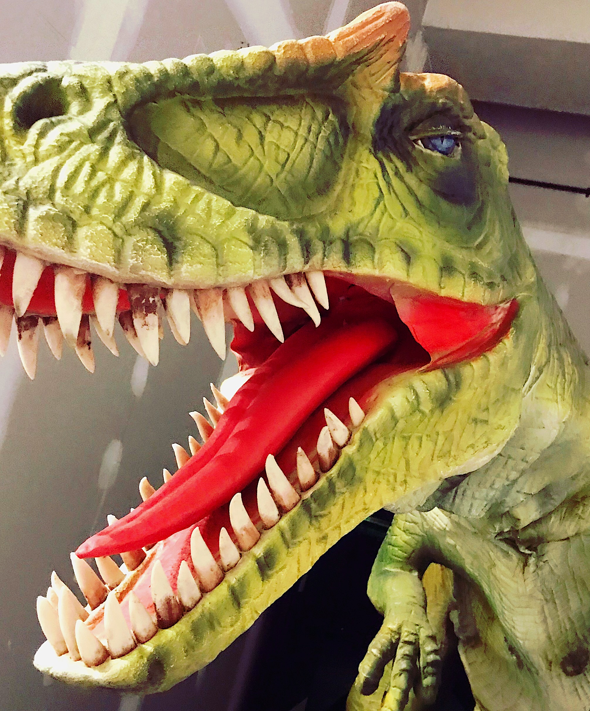 Meet a T-Rex this Easter with Flip Out » Boxed Off Comms